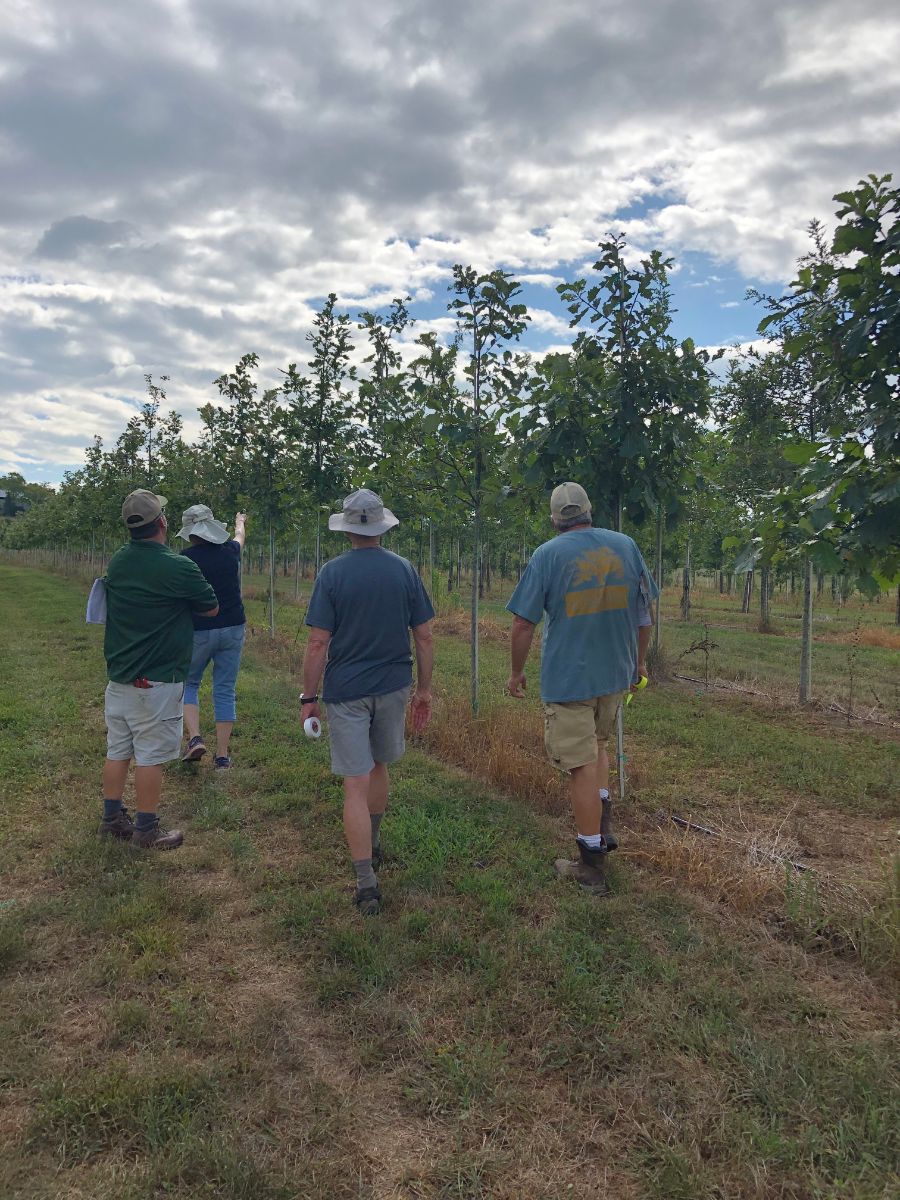 Arlington County Tree Stewards; 14 August 2019 - White House Natives LLC