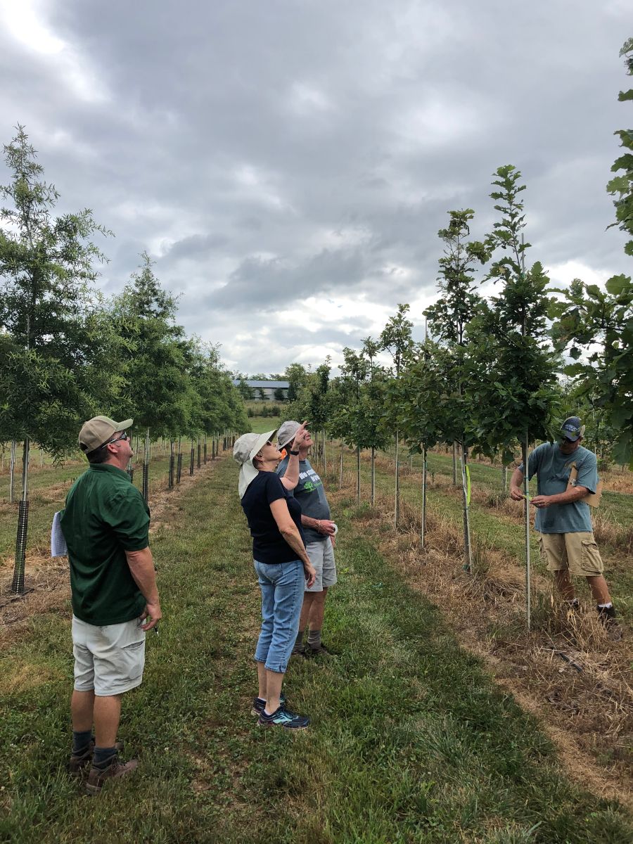 Arlington County Tree Stewards; 14 August 2019 - White House Natives LLC