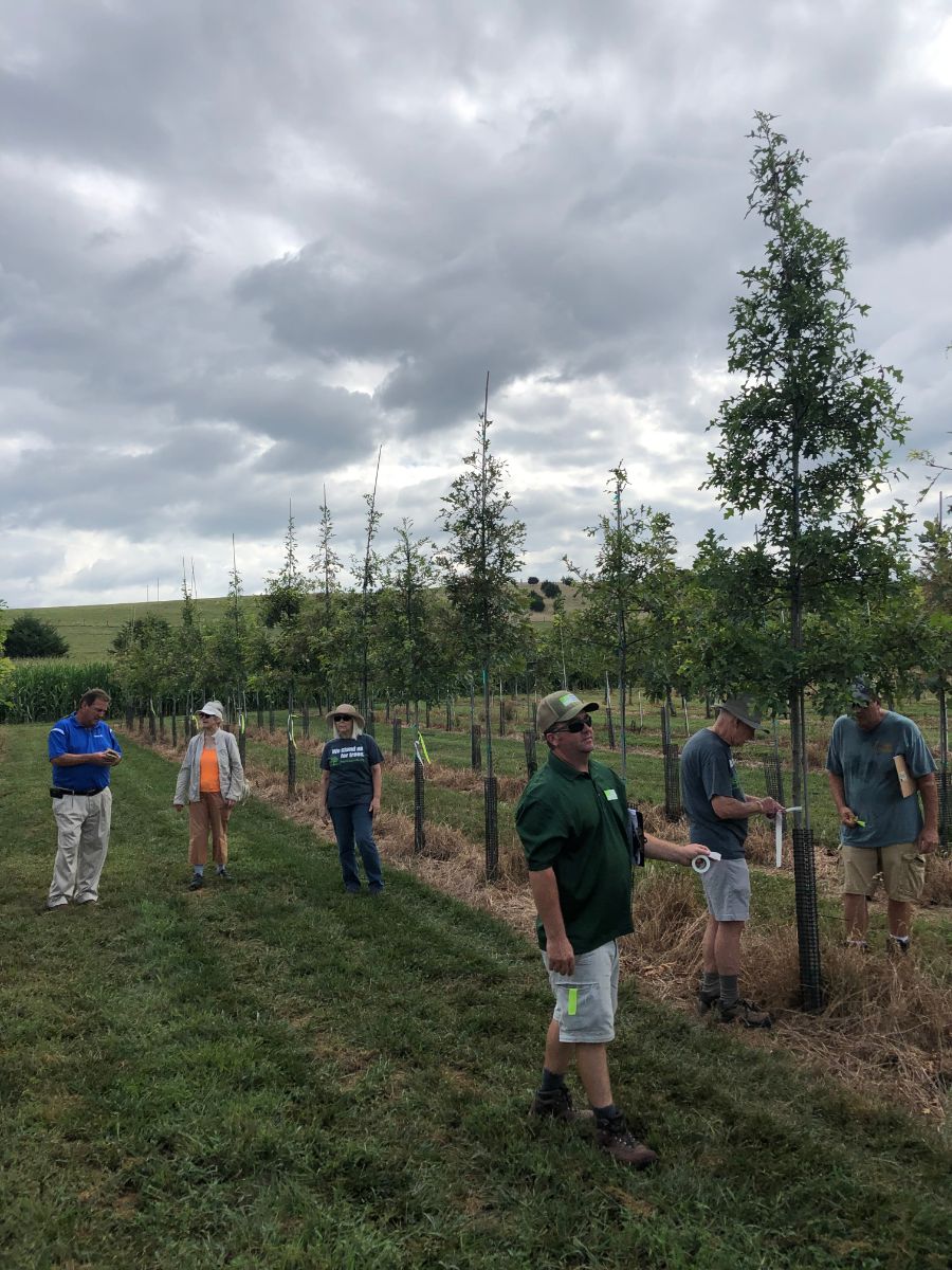 Arlington County Tree Stewards; 14 August 2019 - White House Natives LLC