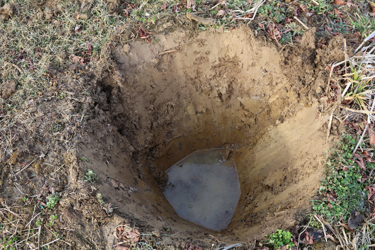 Spring Digging, 2d March 2019 - White House Natives LLC